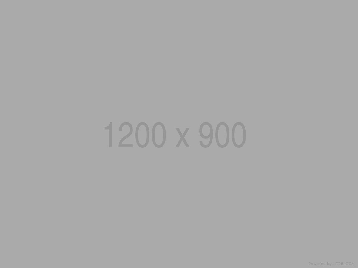 Lite Shipping Corporation - BARKOTA