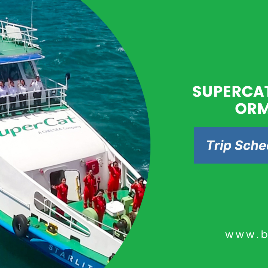 Cebu to Ormoc Ferry Schedule, Fare Rates 2024 - BARKOTA